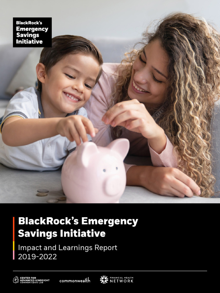 Emergency Savings Initiative Report | PDF | Employment | Payroll