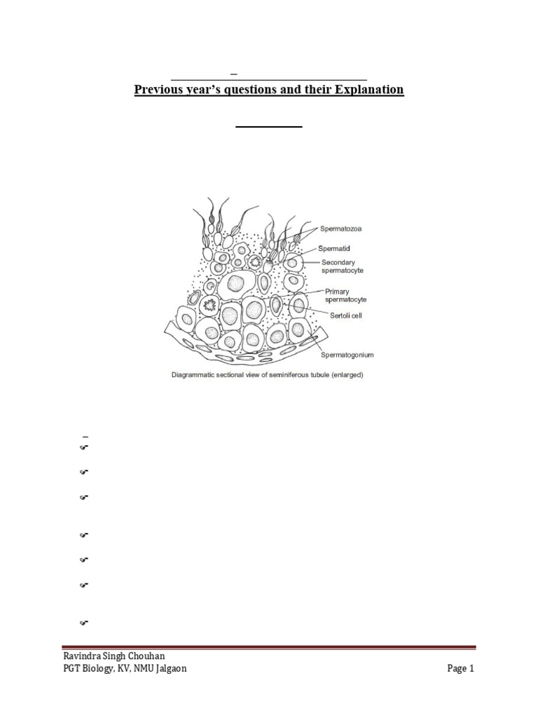 Human Reproduction: Key Concepts & Processes | PDF | Menstrual Cycle ...