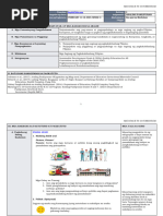Matatag DLP | PDF