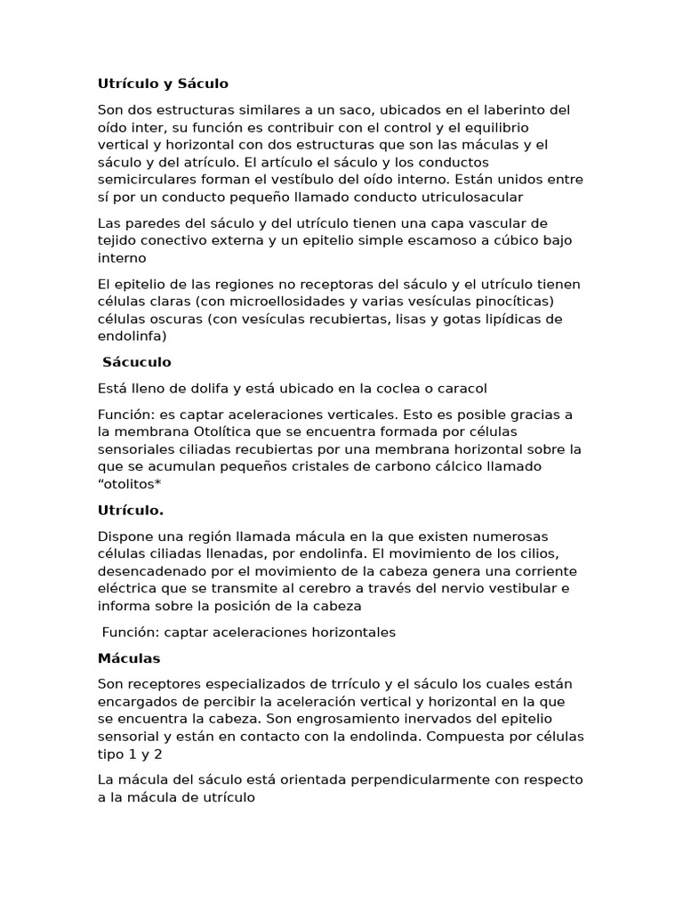 Estructuras del Utrículo y Sáculo | PDF | Oído | Cabeza y cuello humanos