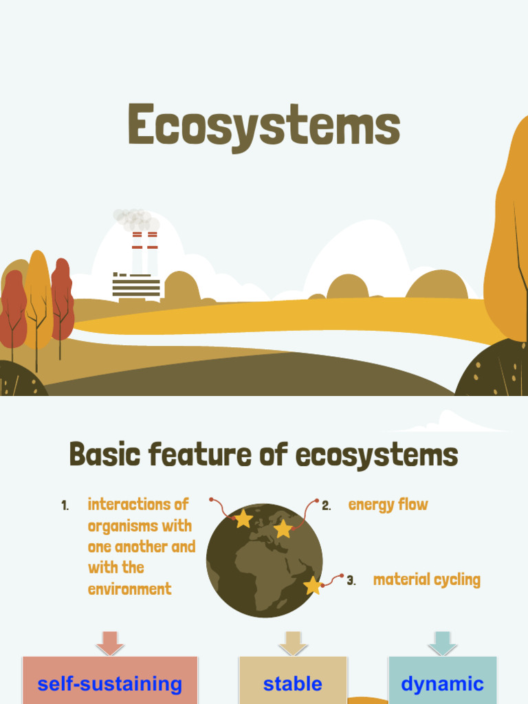21.5 Ecosystems Material Cycling 2 | PDF | Carbon Dioxide | Nitrate