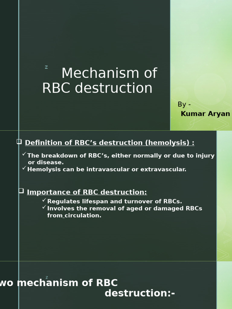 Mechanism of RBC Destruction | PDF | Red Blood Cell | Hemoglobin