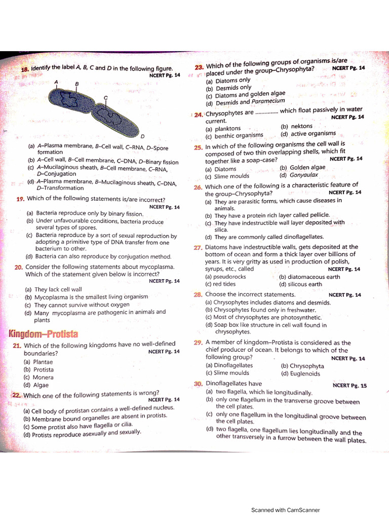 11th Bio - Unit I, II and III WS | PDF