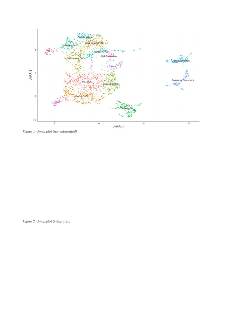 Mouse Gene Expression | PDF
