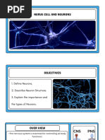 10th Cbse Bio Chapter 2 Notes | PDF | Neuron | Nervous System