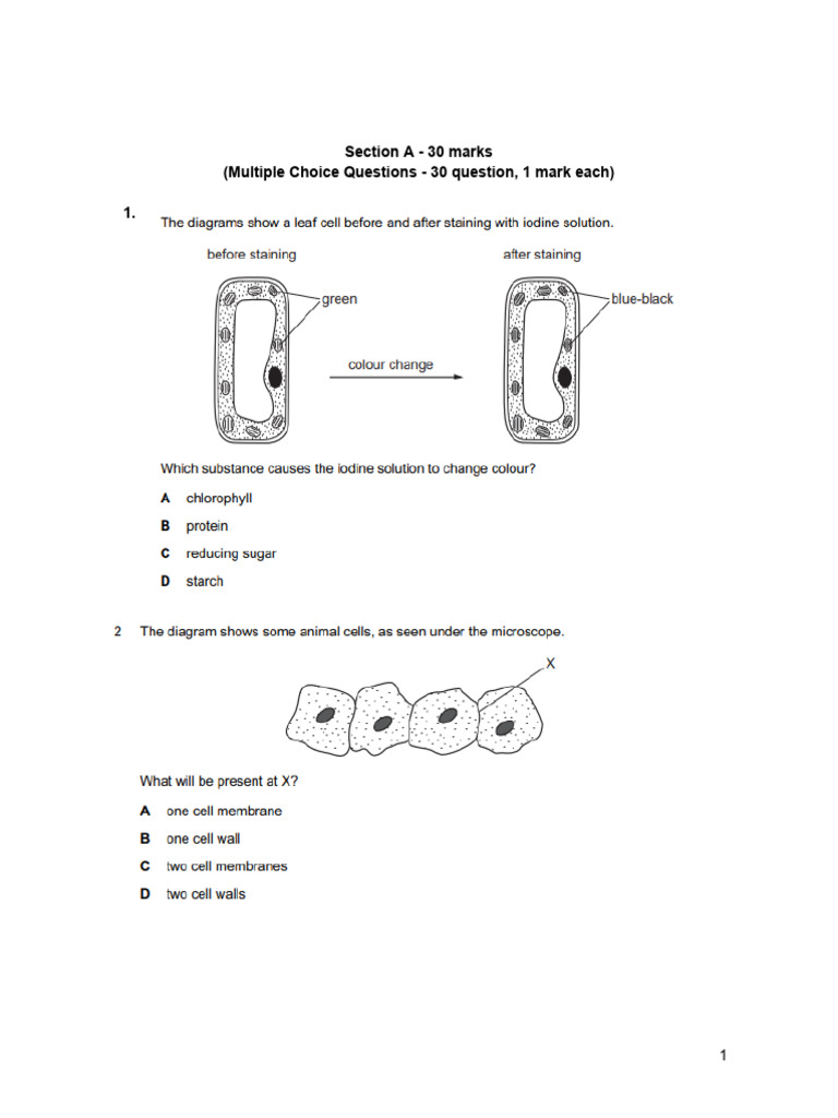 Biology Exam: Cell Structure & Digestion | PDF | Enzyme