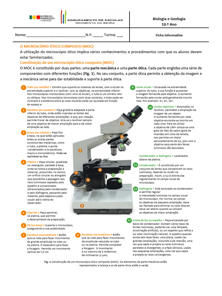 Estrutura e Funcionamento do Microscópio Óptico | PDF | Célula ...