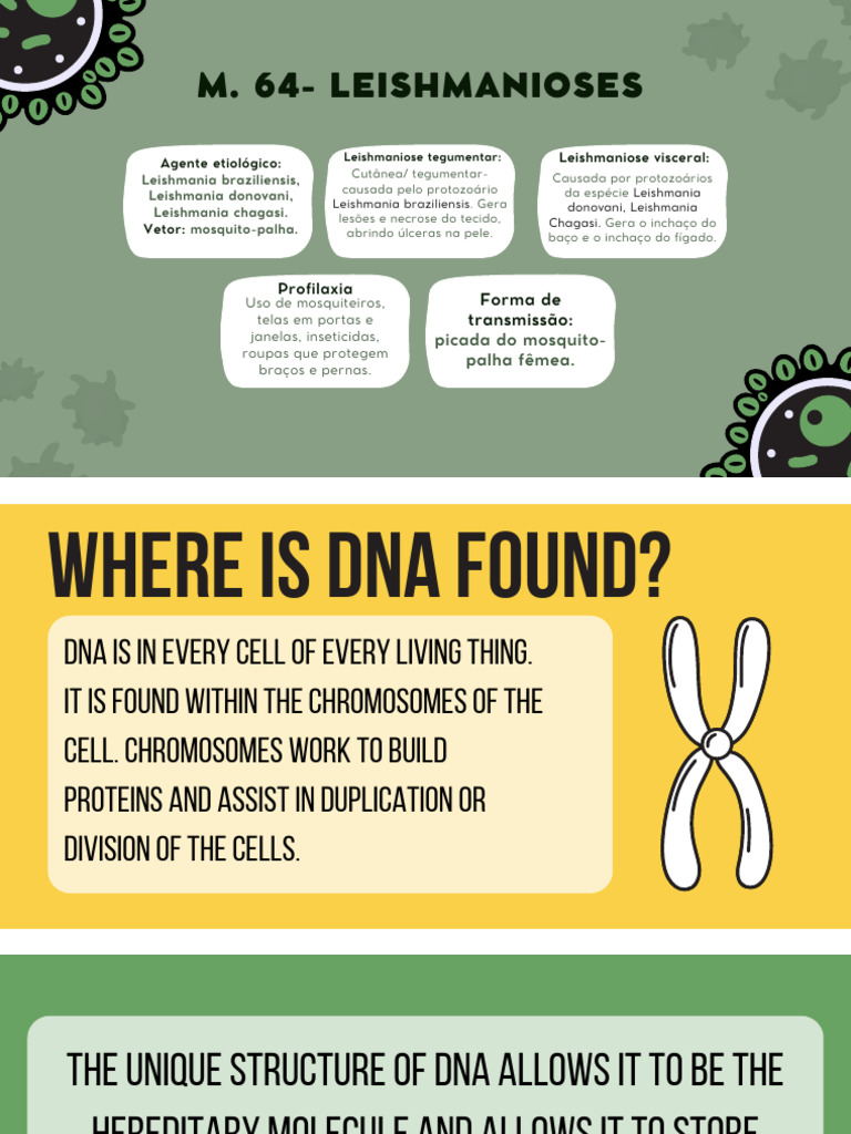 Leishmaniasis Overview and Transmission | PDF | Dna | Nucleotides