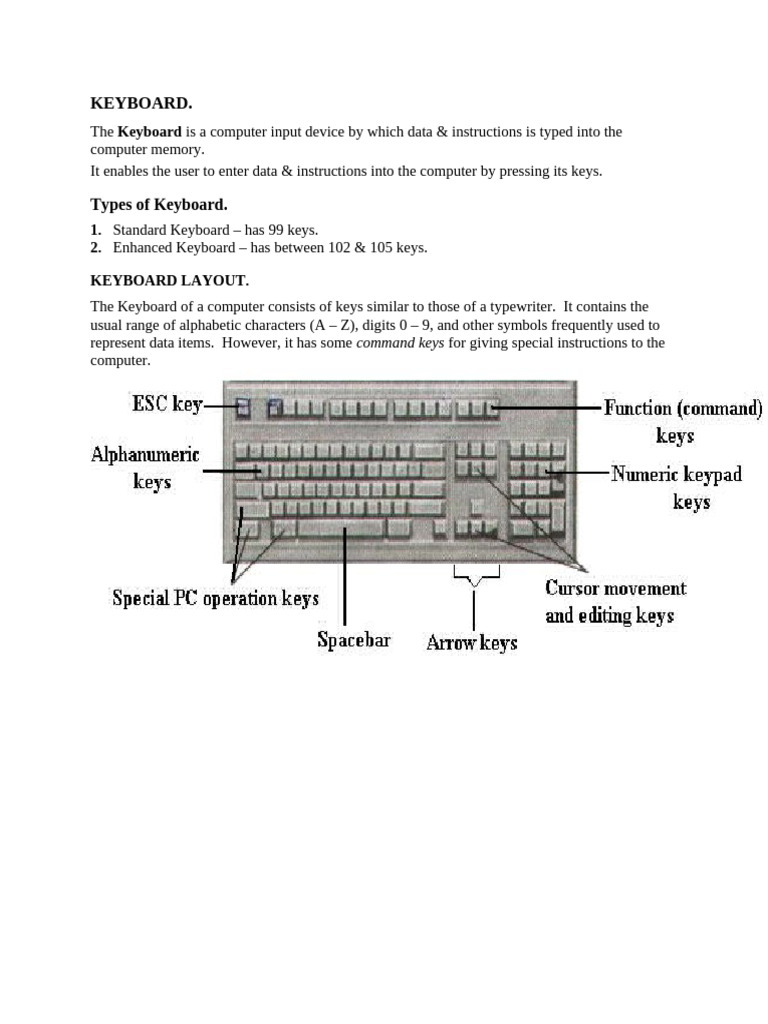 Understanding Computer Keyboards and Functions | PDF | Programming | Computer Program