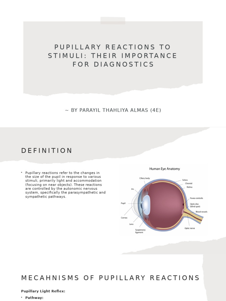 Pupillary Reactions To Stimuli | PDF | Ophthalmology | Human Eye