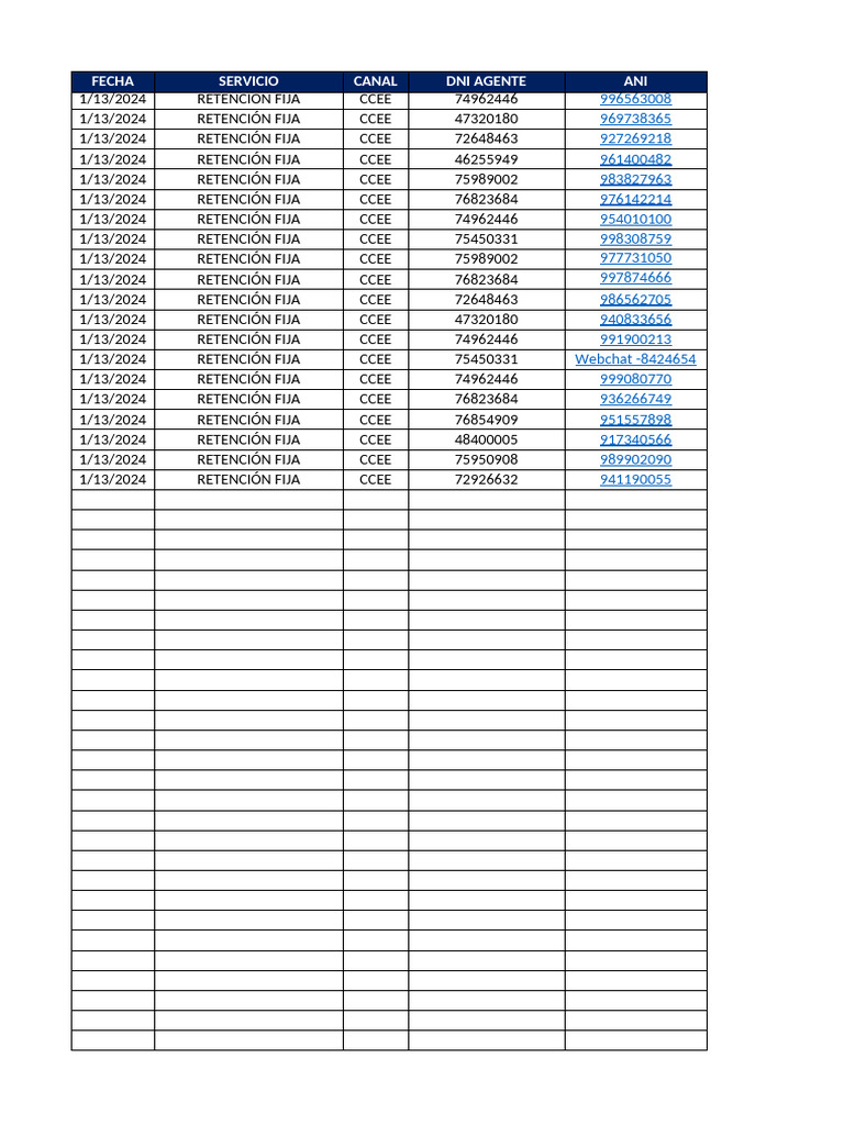 Formato Auditorías - No Retenidos Ccee | PDF