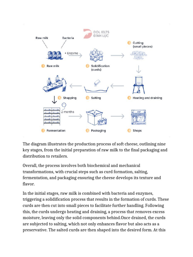 task1+2 | PDF | Cheese | Disciplines