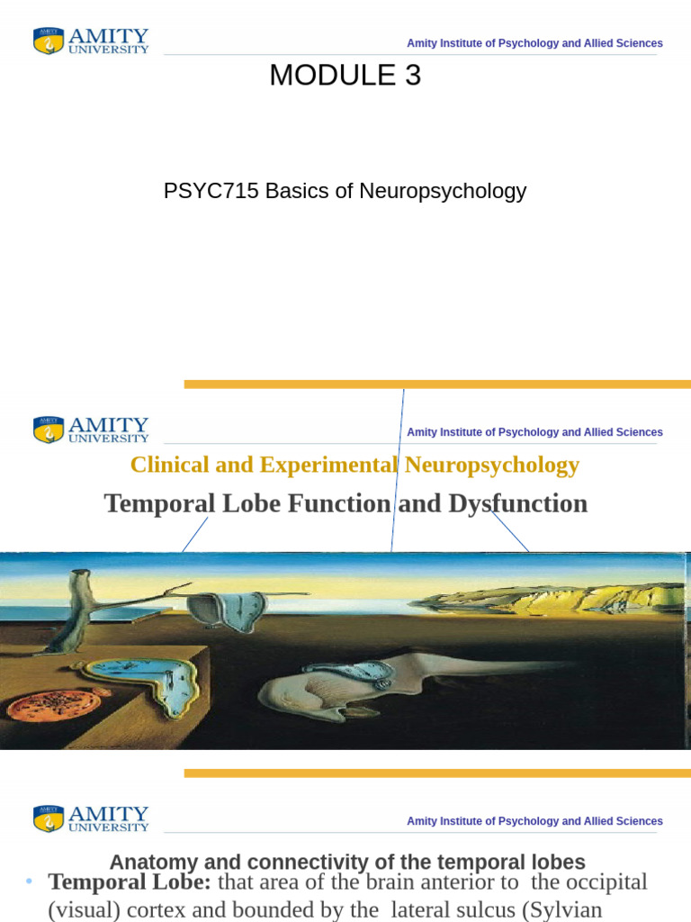 MODULE 3 Temporal Lobe Function and Dysfunction | PDF | Temporal Lobe ...