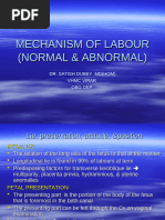 Mechanism of Labour | PDF | Pelvis | Anatomical Terms Of Motion