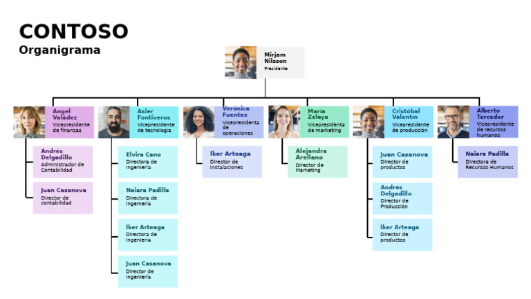 CONTOSO | PDF | Business | Ingeniería