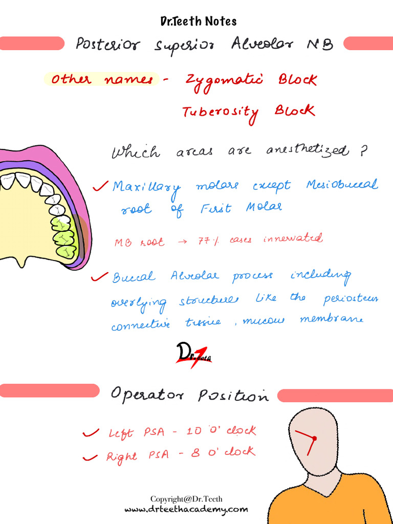 PSA Nerve Block | PDF | Human Anatomy | Medical Specialties