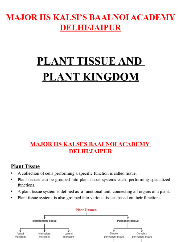Plant Tissues and Plant Kingdom | PDF | Tissue (Biology) | Anatomy