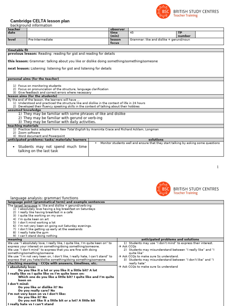 Grammar Like and Dislike Lesson Plan | PDF | Plural | Verb