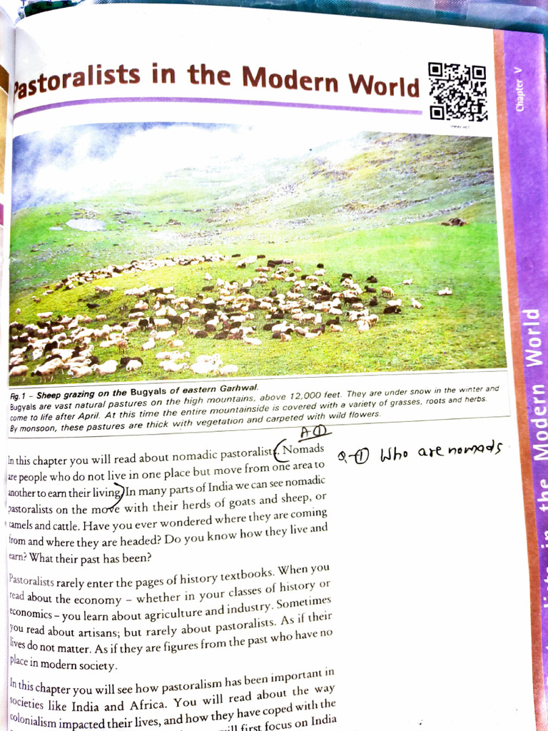Class 9 CH Pastoralist Book PDF | PDF | Pastoralism | Nomad