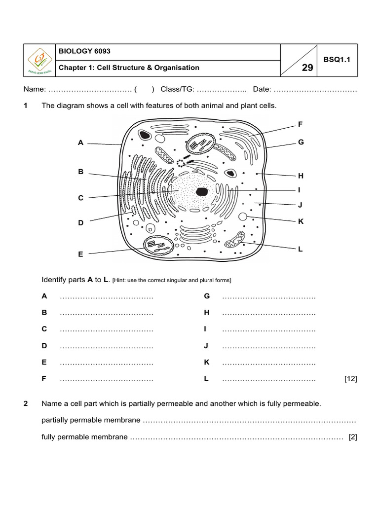 Httpsdoc 04 3s Prod 03 Apps Viewer - Googleusercontent.comviewer2prod ...