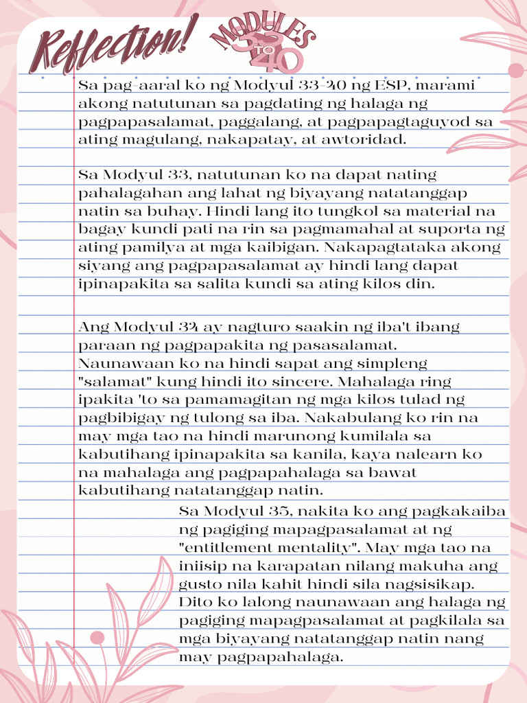 ESP Reflection 33 40 | PDF