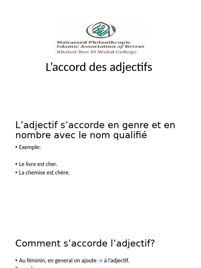Accord des adjectifs en français | PDF