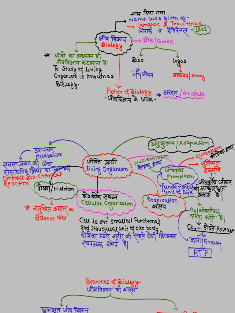Group D Biology | PDF