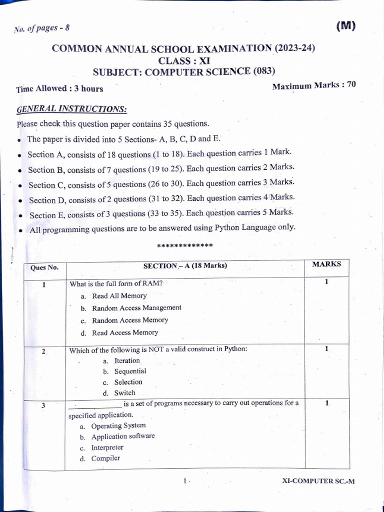 CS Question Paper Class 11 Morning | PDF