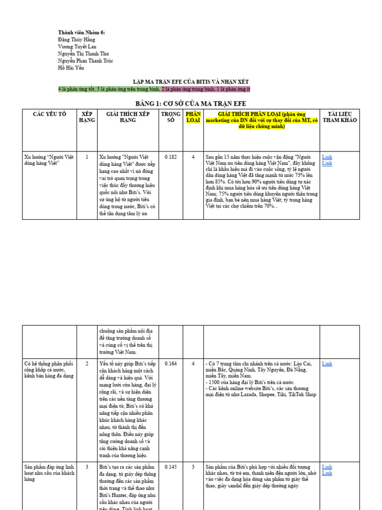 MA TRẬN EFE BITIS | PDF