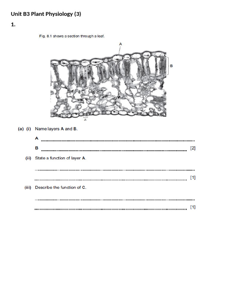 Plant Physiology Unit B3 Overview | PDF