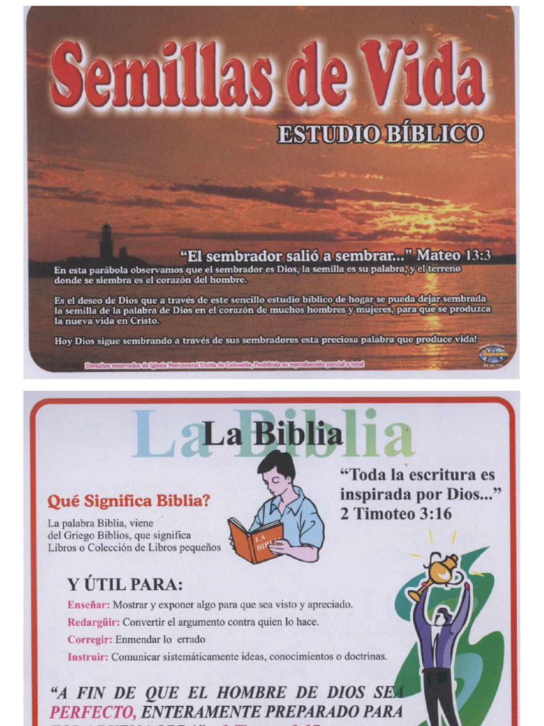 REFAM EN DIAPOSITIVAS-comprimido | PDF