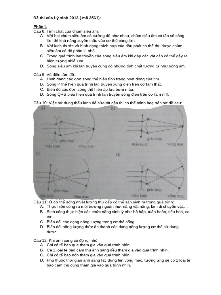 Đề Lý (x32) | PDF