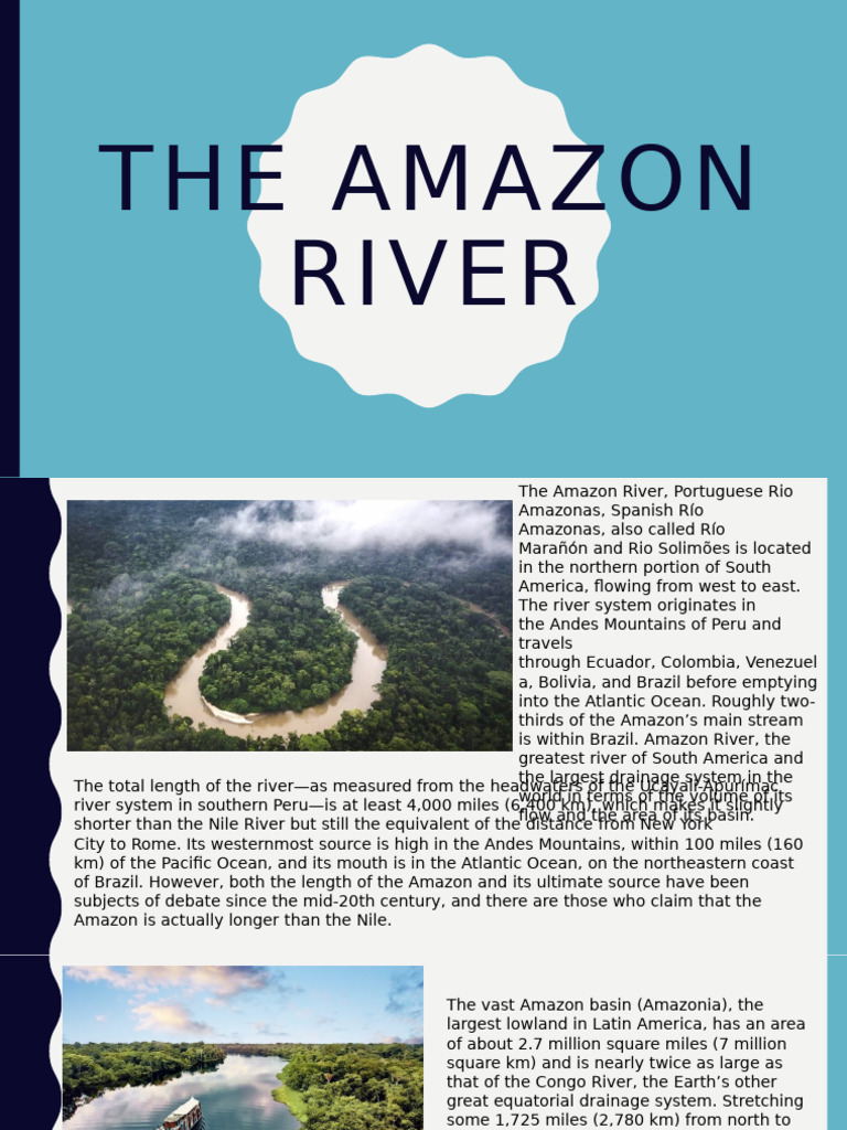 Draft of Eng Project Amazon | PDF | Amazon River | Environmental ...