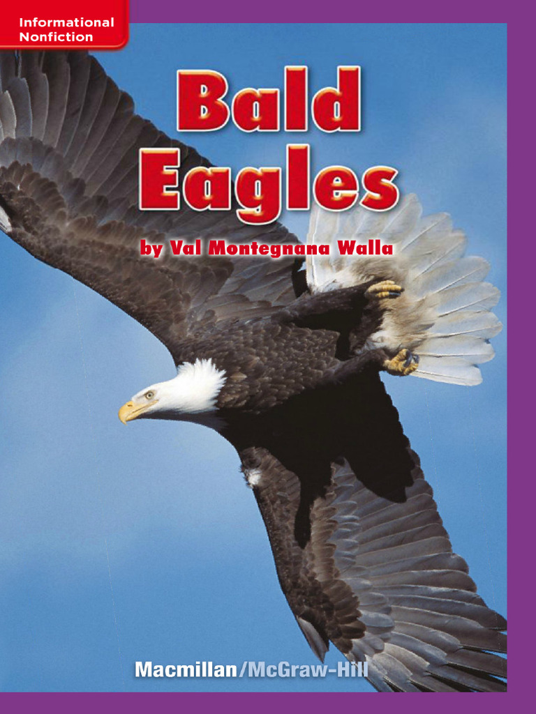 Bald Eagle | PDF