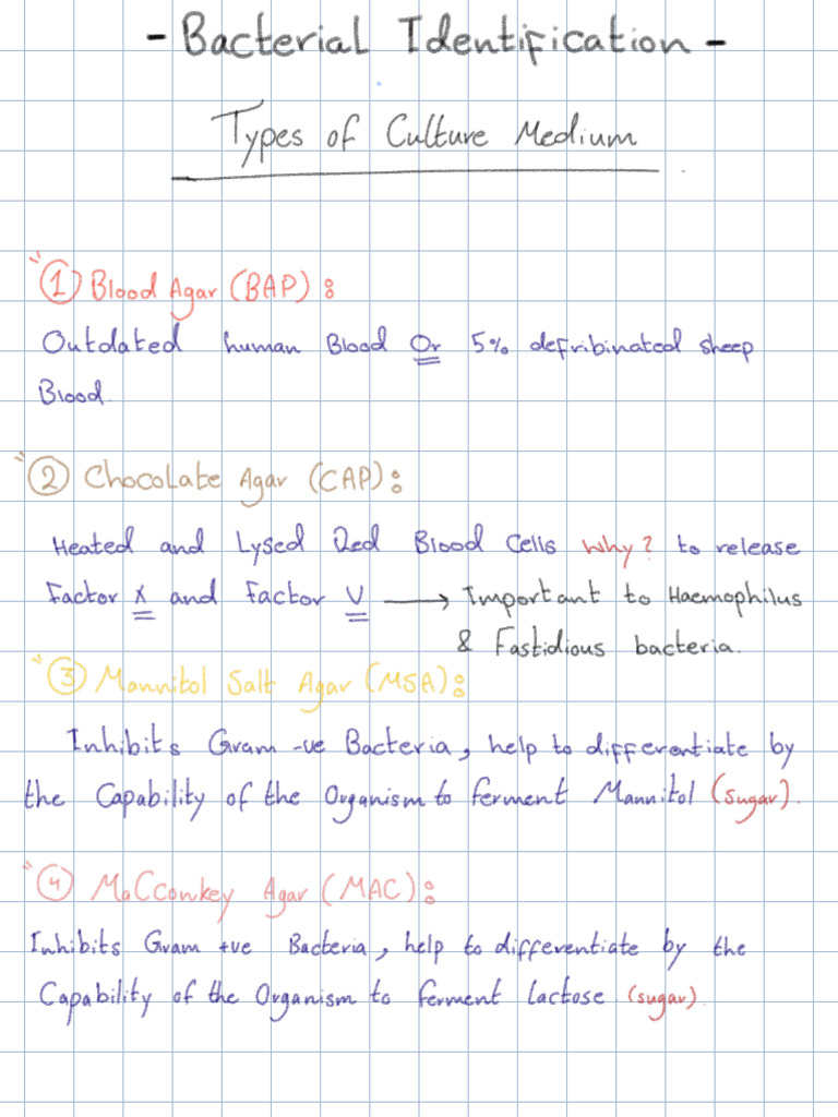 Bacterial Identification | PDF | Bacteria | Growth Medium