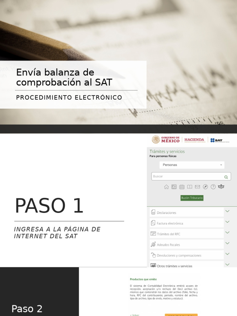 Envío de Balanza al SAT: Guía Paso a Paso | PDF