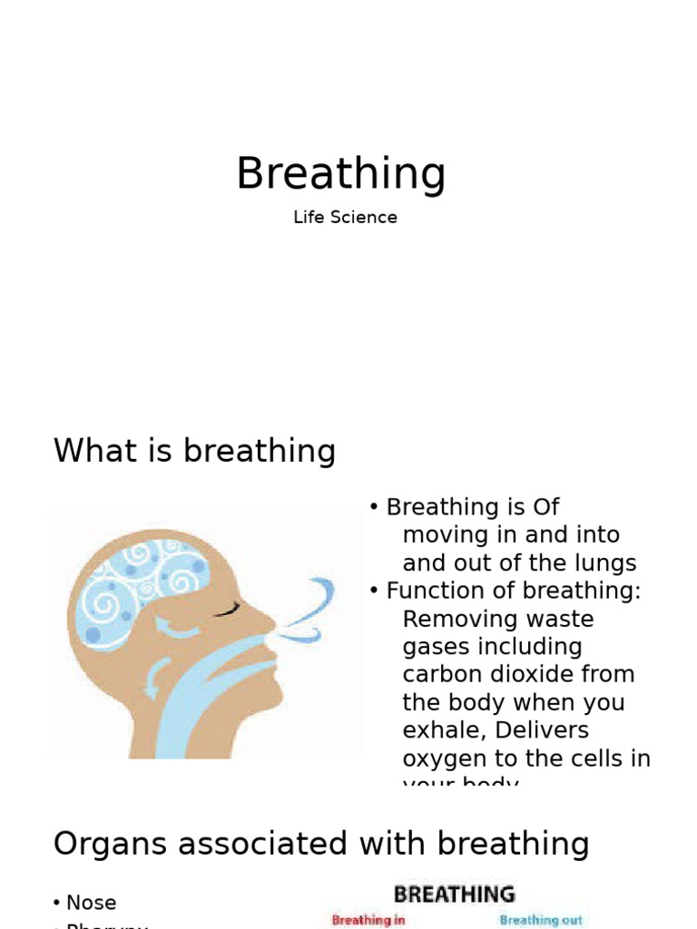 Life Science - Breathing Presentation | PDF