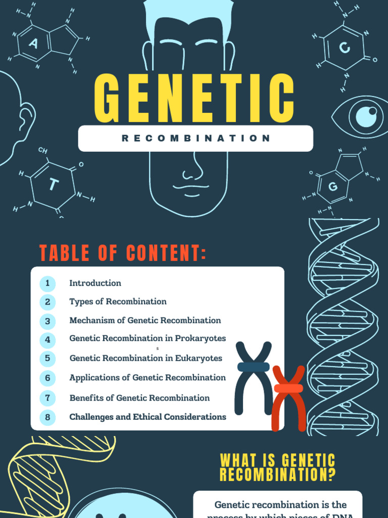 Genetic Recombination | PDF | Genetic Recombination | Genetics
