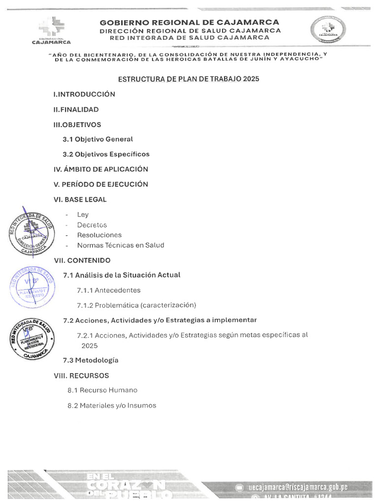 Estructura Plan de Trabajo | PDF