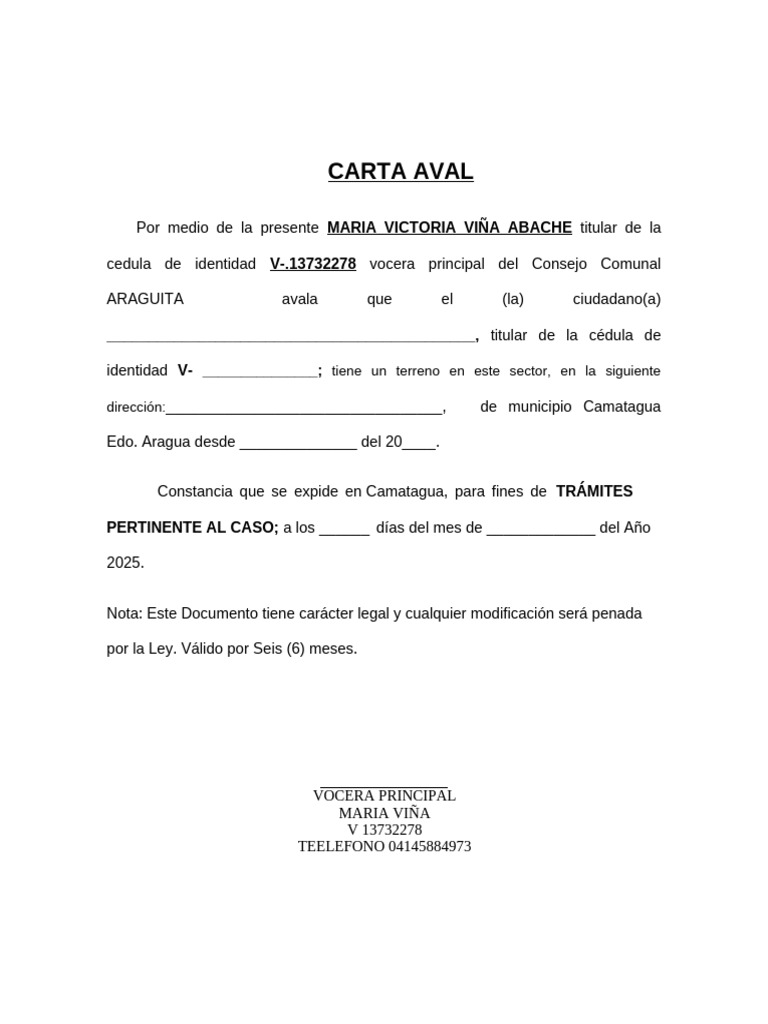 Modelo de Carta Aval Legal | PDF
