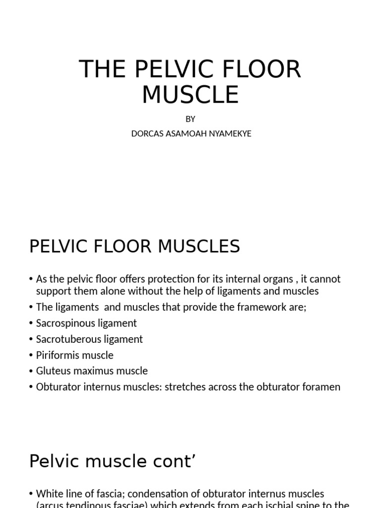 Understanding Pelvic Floor Muscles | PDF | Pelvis | Musculoskeletal System