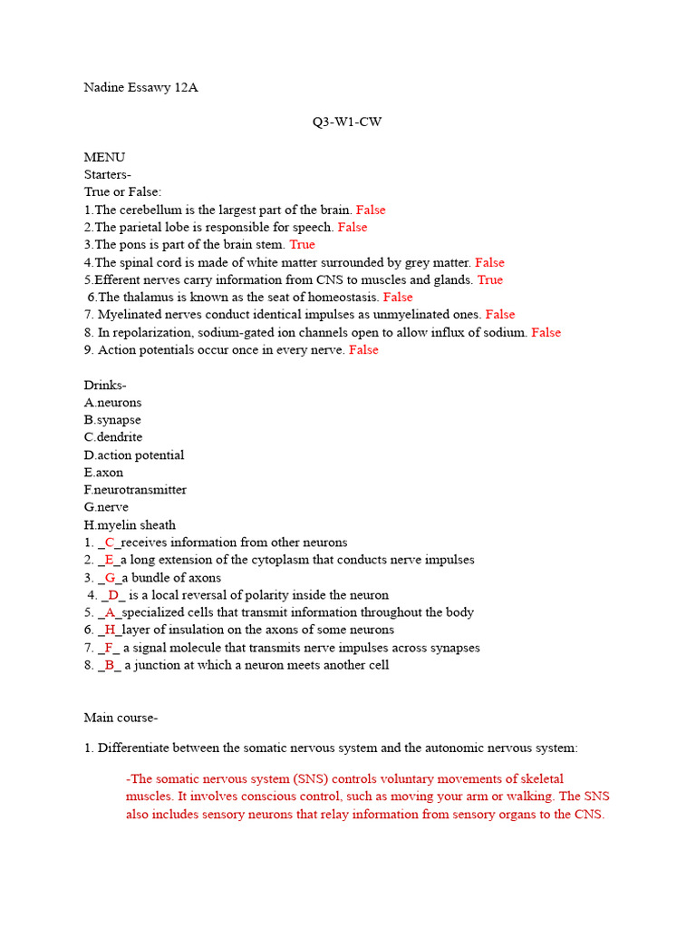 Neuroscience Quiz & Concepts | PDF | Nervous System | Nerve