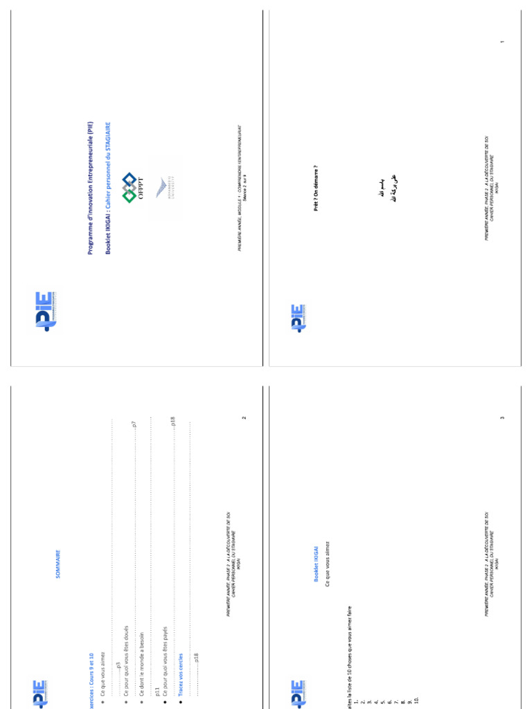 PIE-A1-P2-Séance 2-Booklet IKIGAI 2 | PDF