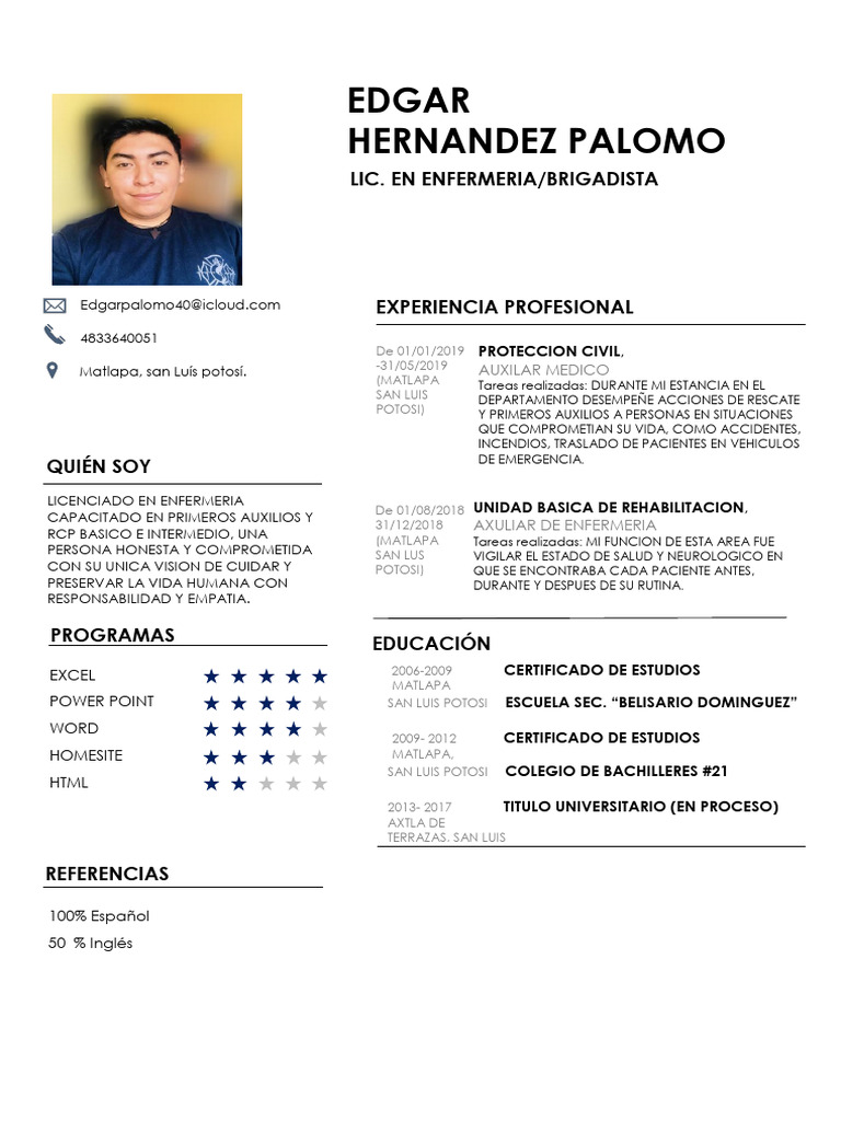 CV Edgar Palomo | PDF