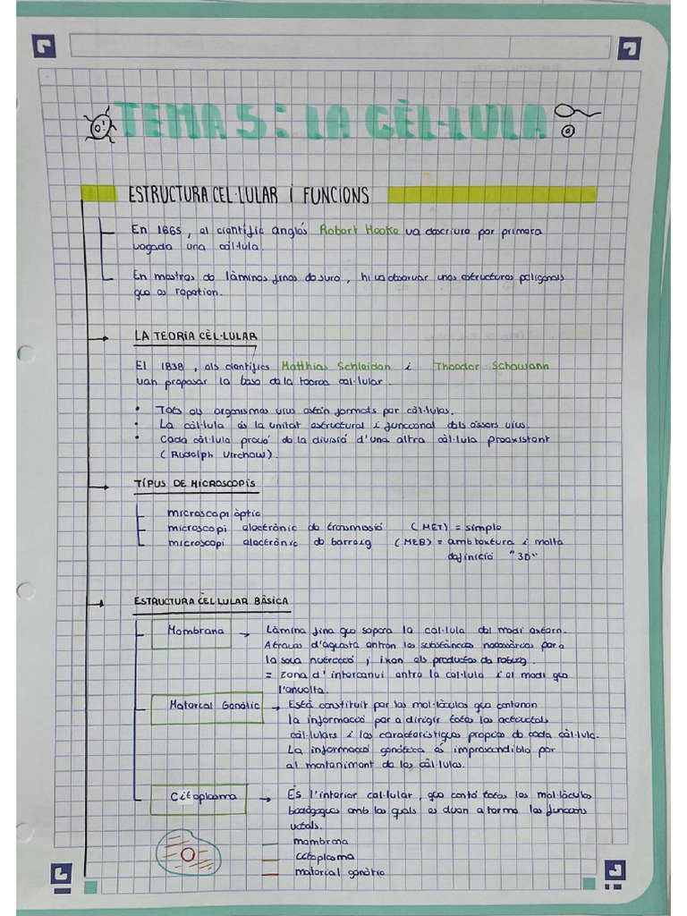 Resumen Bio Cèl.lules | PDF