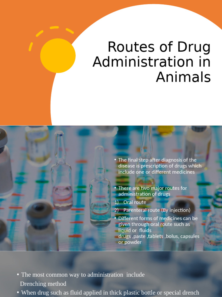 Drug Administration Routes in Animals | PDF | Injection (Medicine) | Vein