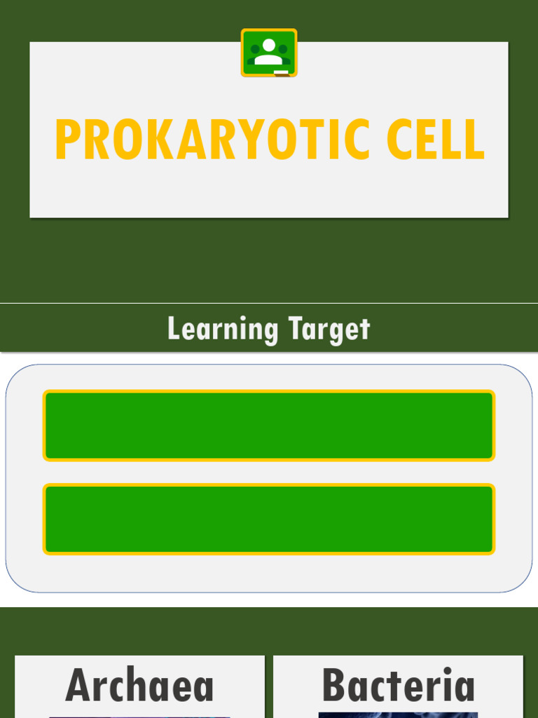 Prokaryotic Cell | PDF | Cell (Biology) | Bacteria