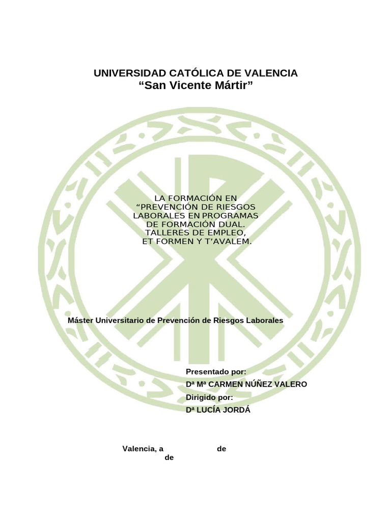 1-TFM MC Ap --- BORRADOR MC 30-07 | PDF | Derecho laboral | Empleo