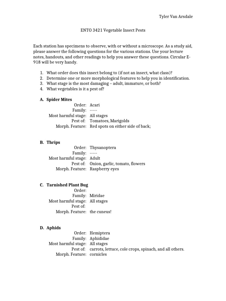 ENTO 3421 Vegetable Insect Pests | PDF | Beetle | Lepidoptera