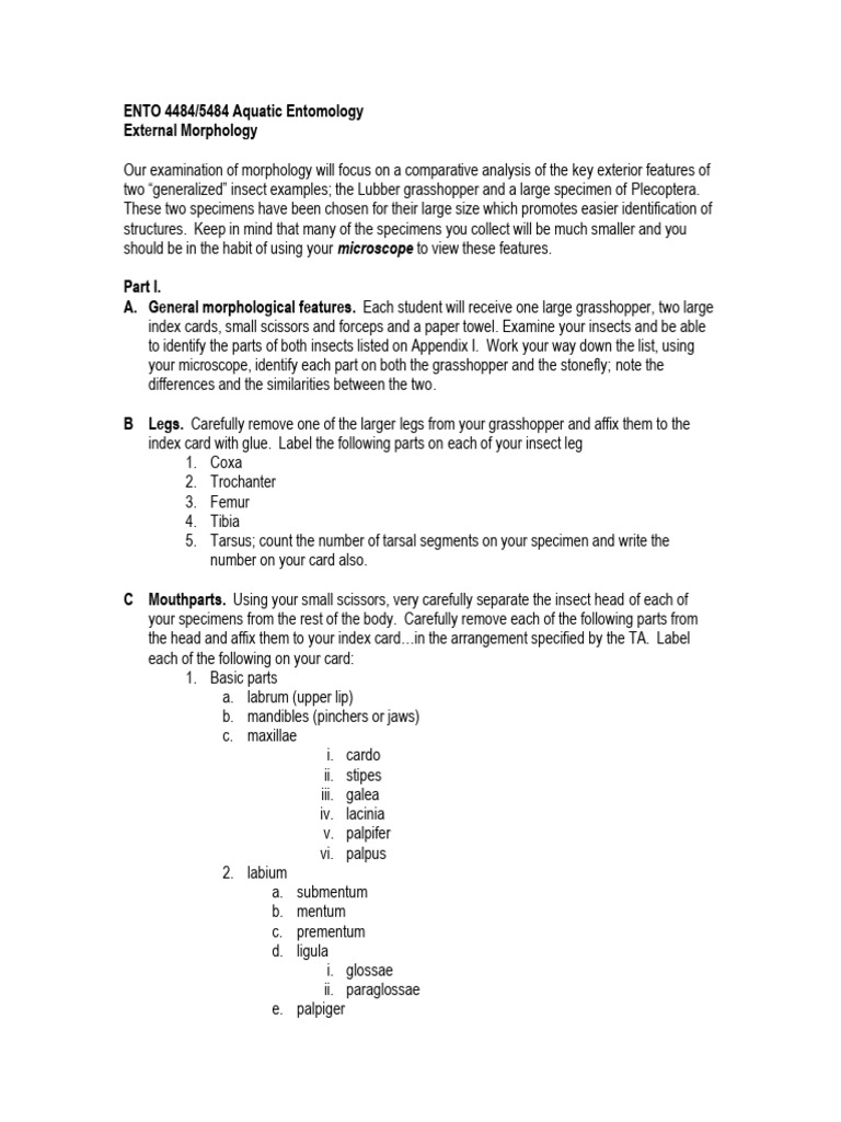 Aquatic entomology morphology lab | PDF | Arthropods | Arthropodology